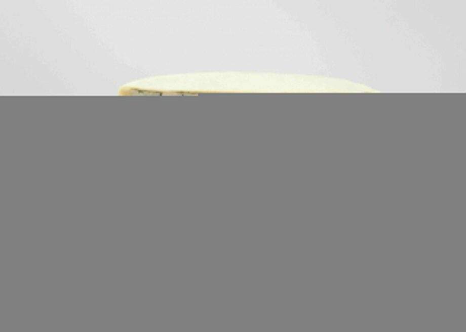 Le Régalis César - Vente en ligne de Fromage des Pyrénées